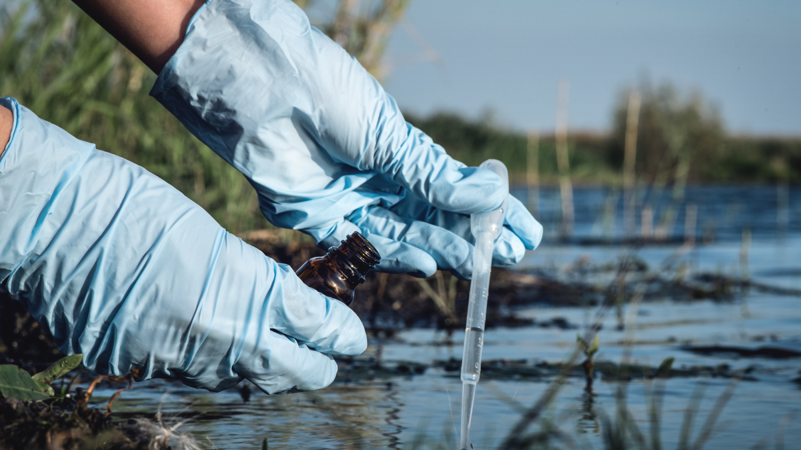 Apa itu Rencana Kerja Lingkungan (RKL) dan Rencana Pemantauan ...